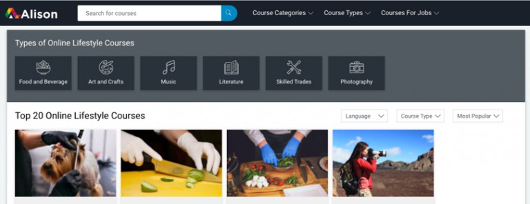 16 Best Alison Courses + Online Diplomas 2025 | Courselounge