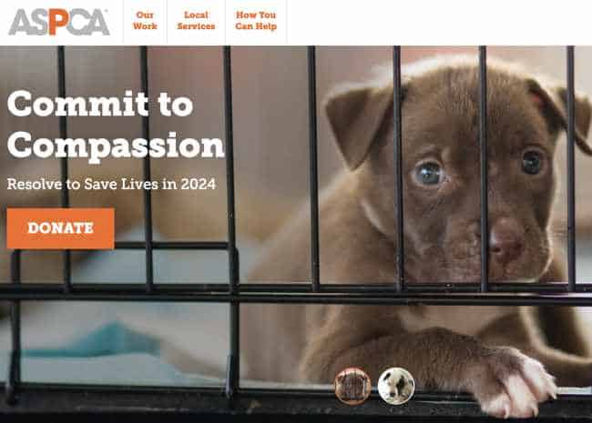 Join Charity Projects and Campaigns | courselounge